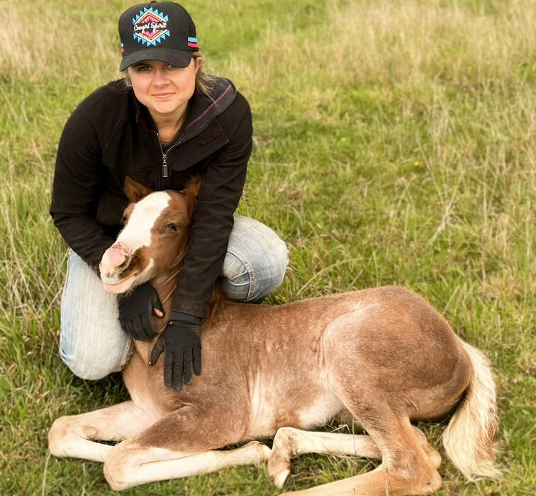 Breeding of barrel racing & rodeo Quarter Horses Australia